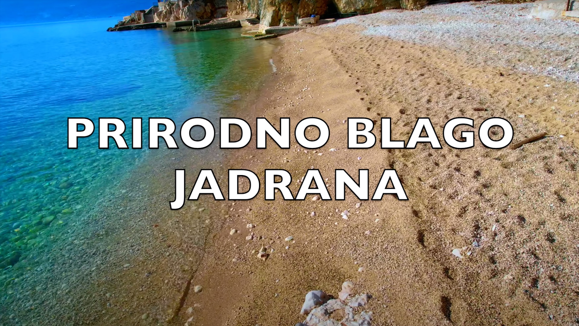 Prirodno blago obale i podmorja Jadranskog mora - Velimir Vrzić ...